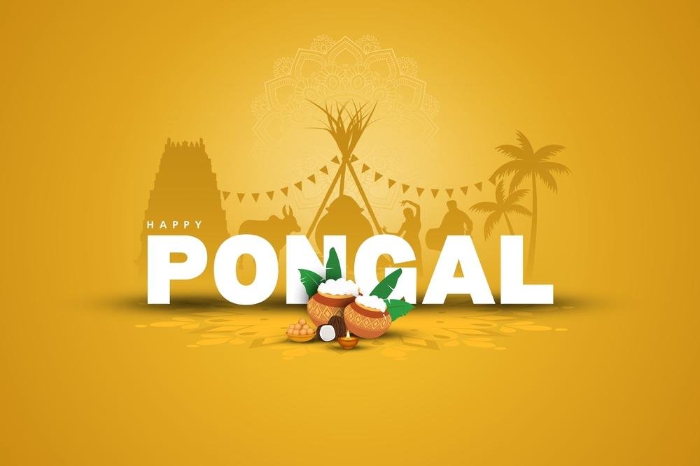 Pongal: The Festival of Harvest, Joy, and Tradition - Daivya Chakra